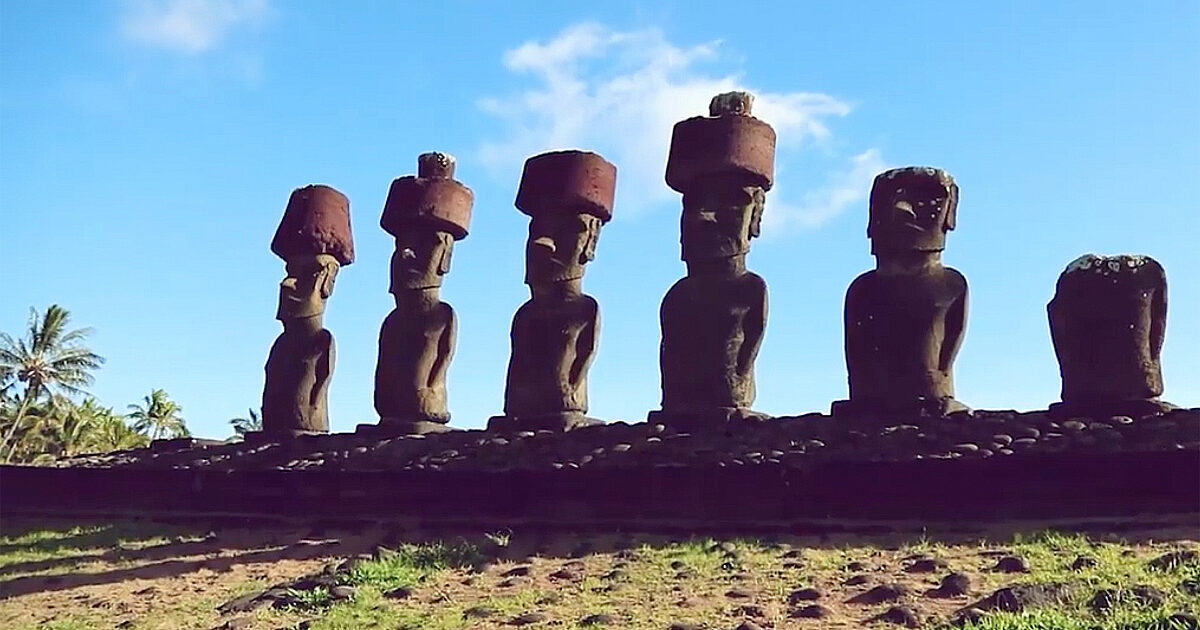 How Ancestral Indigenous Wisdom Guides the Rapa… | Wayfinders Circle