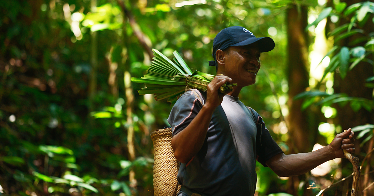 The Omen Birds Still Sing in Sungai Utik | Wayfinders Circle