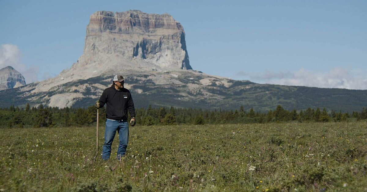 Op-Ed: Indigenous Peoples Are Key to Navigating… | Wayfinders Circle