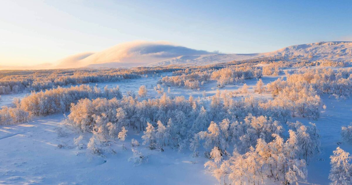 Meet The Wayfinders | Wayfinders Circle