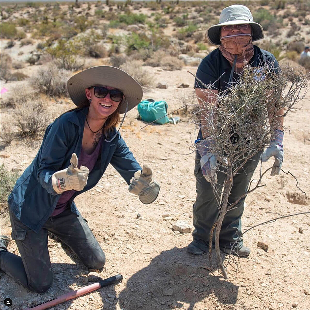 Native American Land Conservancy | Wayfinders Circle