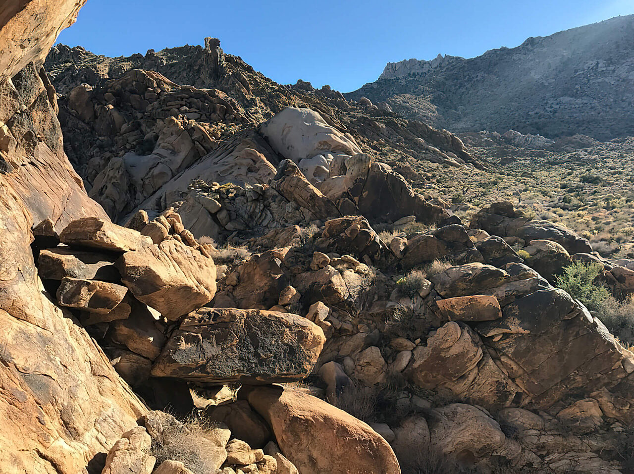 Native American Land Conservancy | Wayfinders Circle