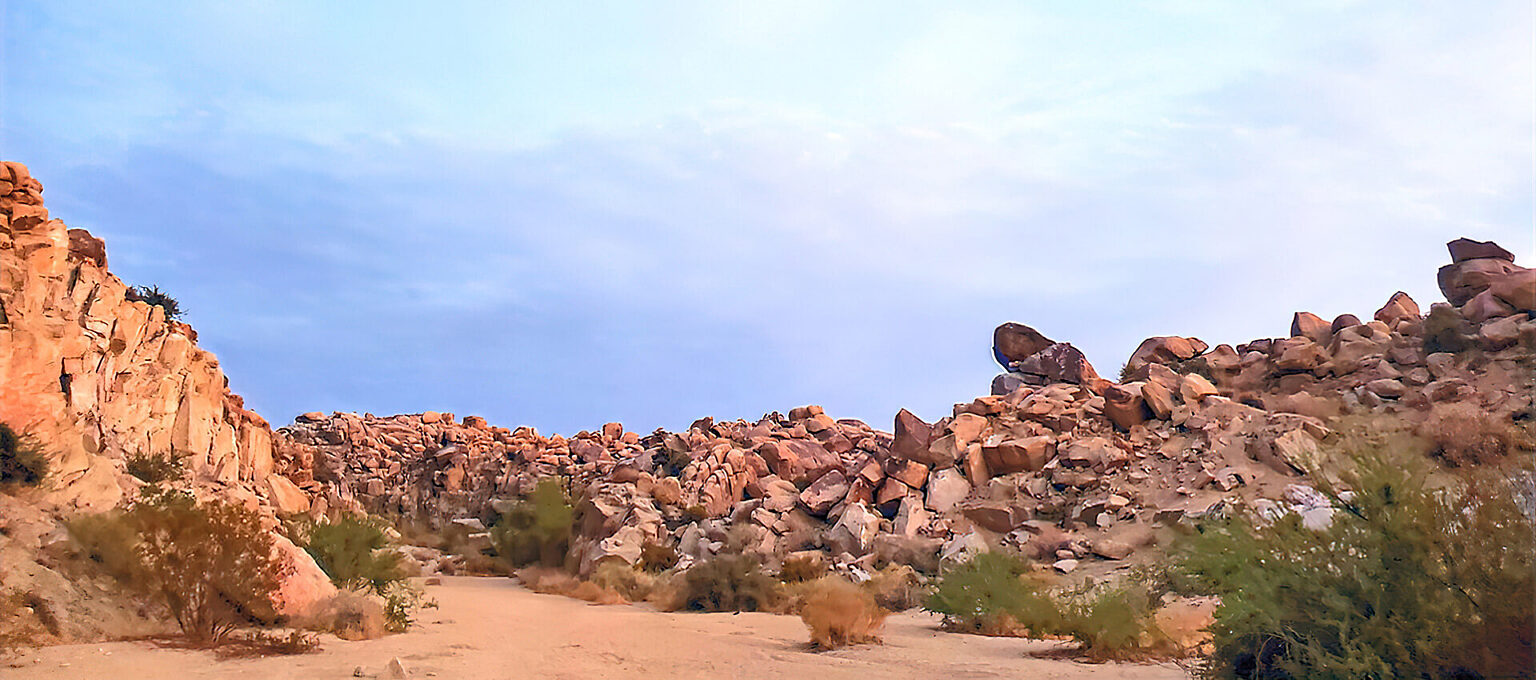 Native American Land Conservancy | Wayfinders Circle