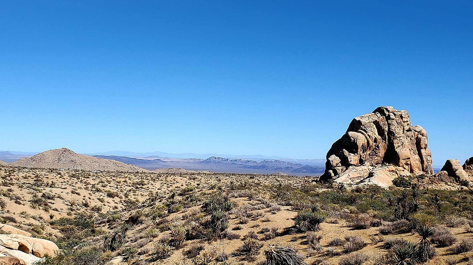 Native American Land Conservancy | Wayfinders Circle