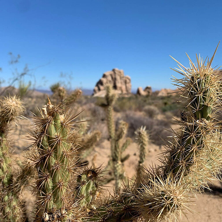 Native American Land Conservancy | Wayfinders Circle